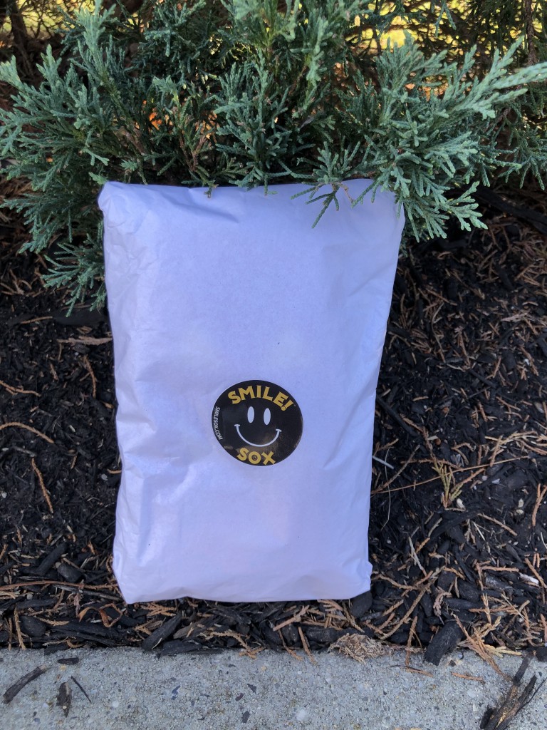 Get Yourself a Pair of SCARY! SOX This Halloween!! - BB Product Reviews